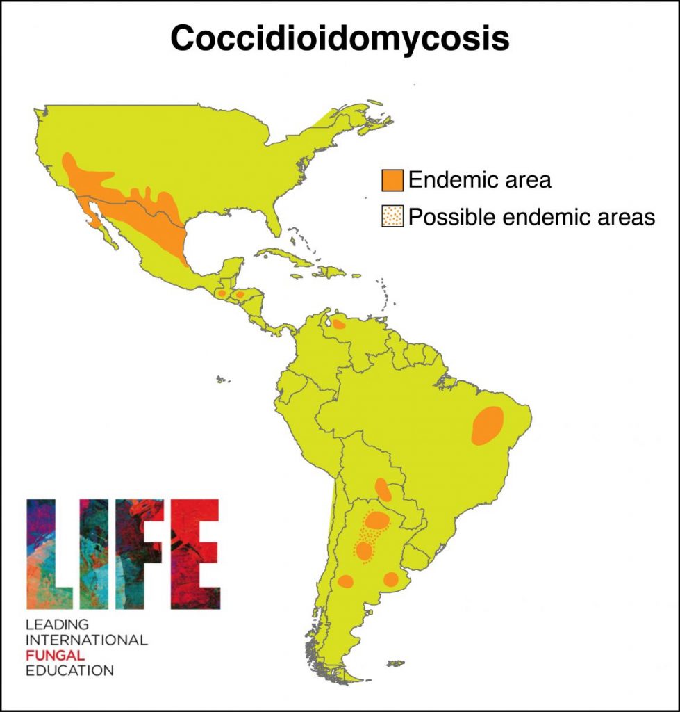 Micosis endémicas - Life Worldwide ES