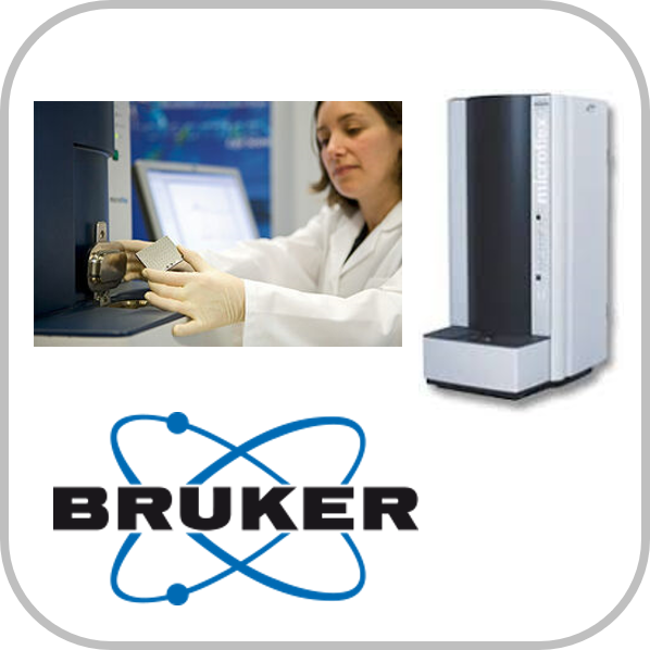 Identification of yeasts and moulds - MALDI-ToF MS - Life Worldwide ES